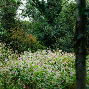 Goosnargh Lodge Park