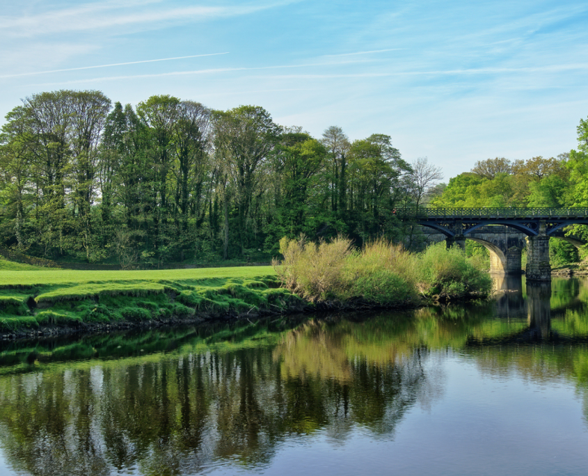 Goosnargh Lodge Park Blog | Lancashire & Ribble Valley