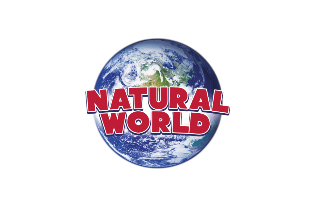 Home Page - HTI Group - Passionate about toys